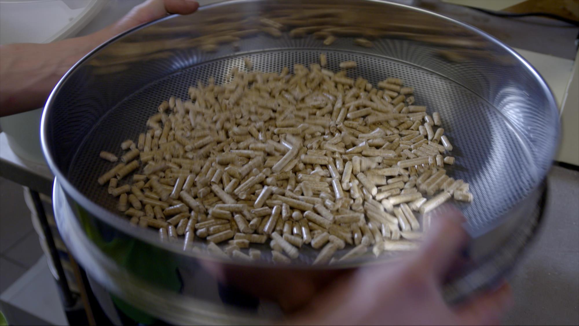 RED-certified pellets for industrial use - News - Wood & Energy